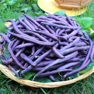 Grump Monkey Soap - Grumpy Monkey's Soap